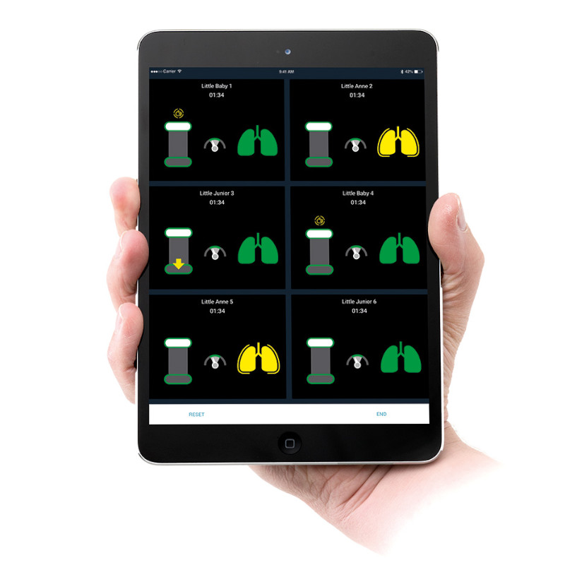 Manechin medical acordare prim ajutor Little Family® CPR, Anatomia ...